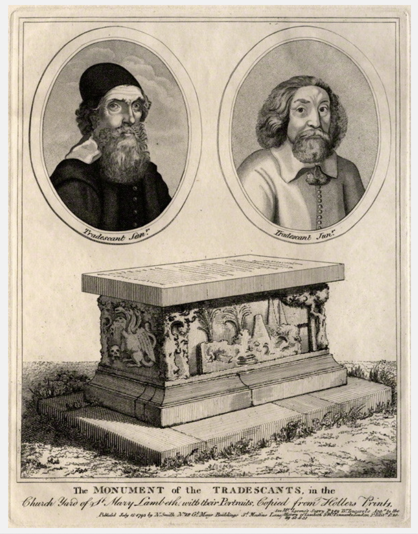 The Tradescants – GARDEN HISTORY TALKS